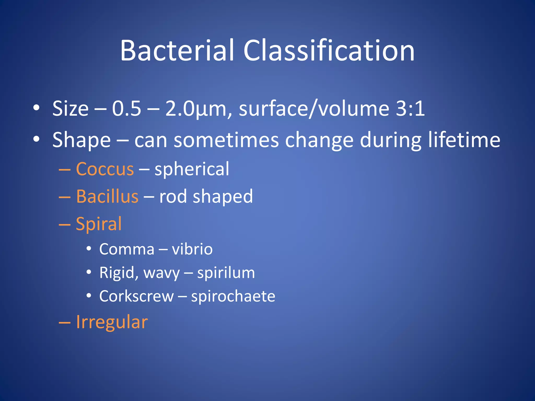 Viruses and Bacteria | PPTX