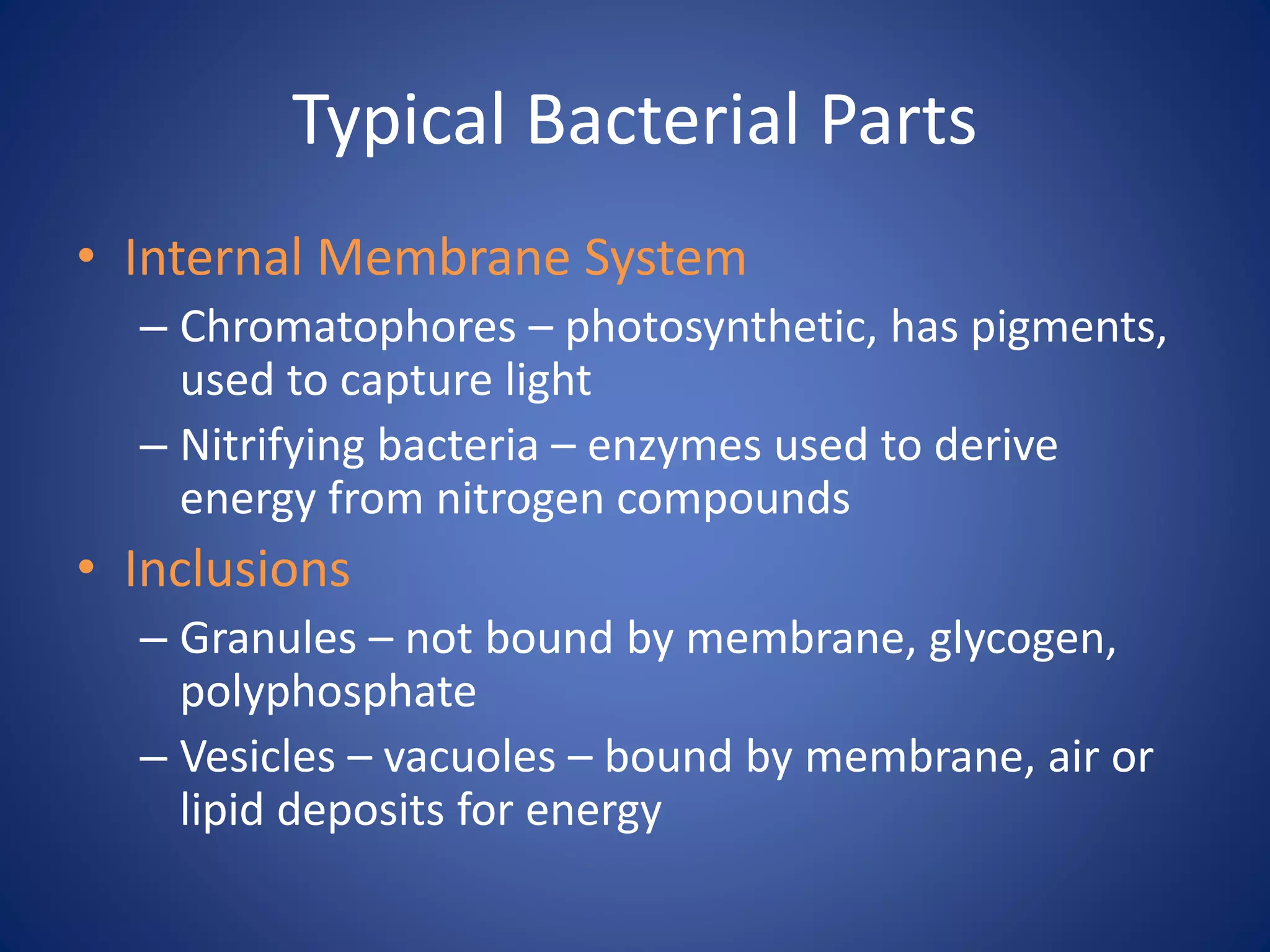 Viruses and Bacteria | PPTX