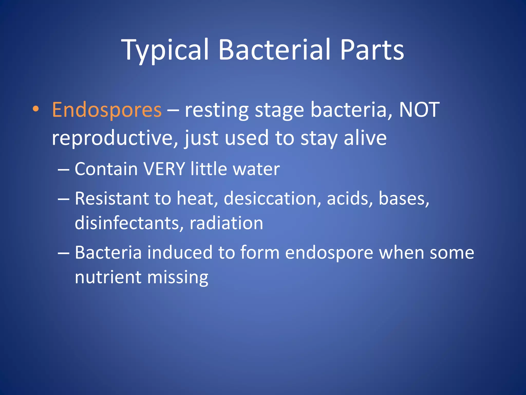Viruses and Bacteria | PPTX
