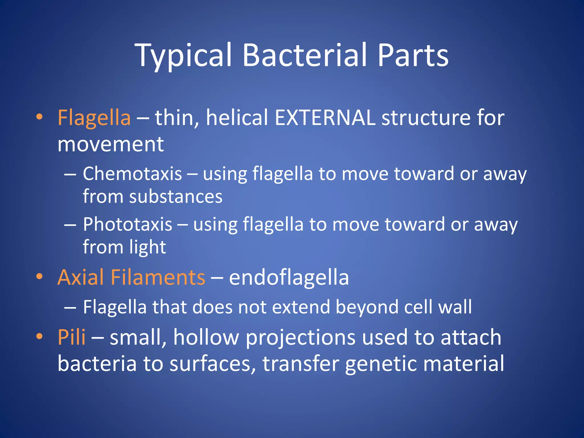 Viruses and Bacteria | PPTX