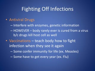 Viruses and Bacteria | PPTX
