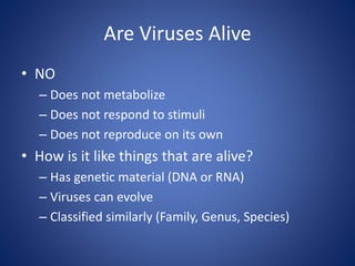 Viruses and Bacteria | PPTX