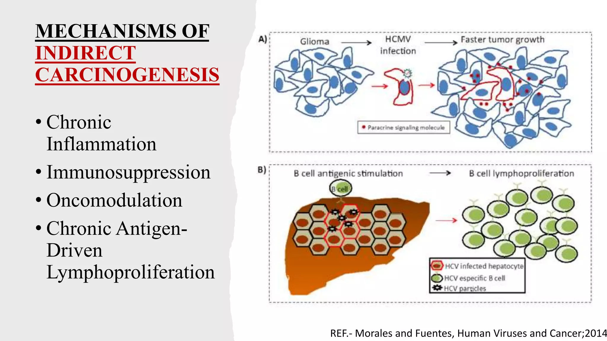 Viruses and Cancer: Introduction to Oncoviruses | PPTX