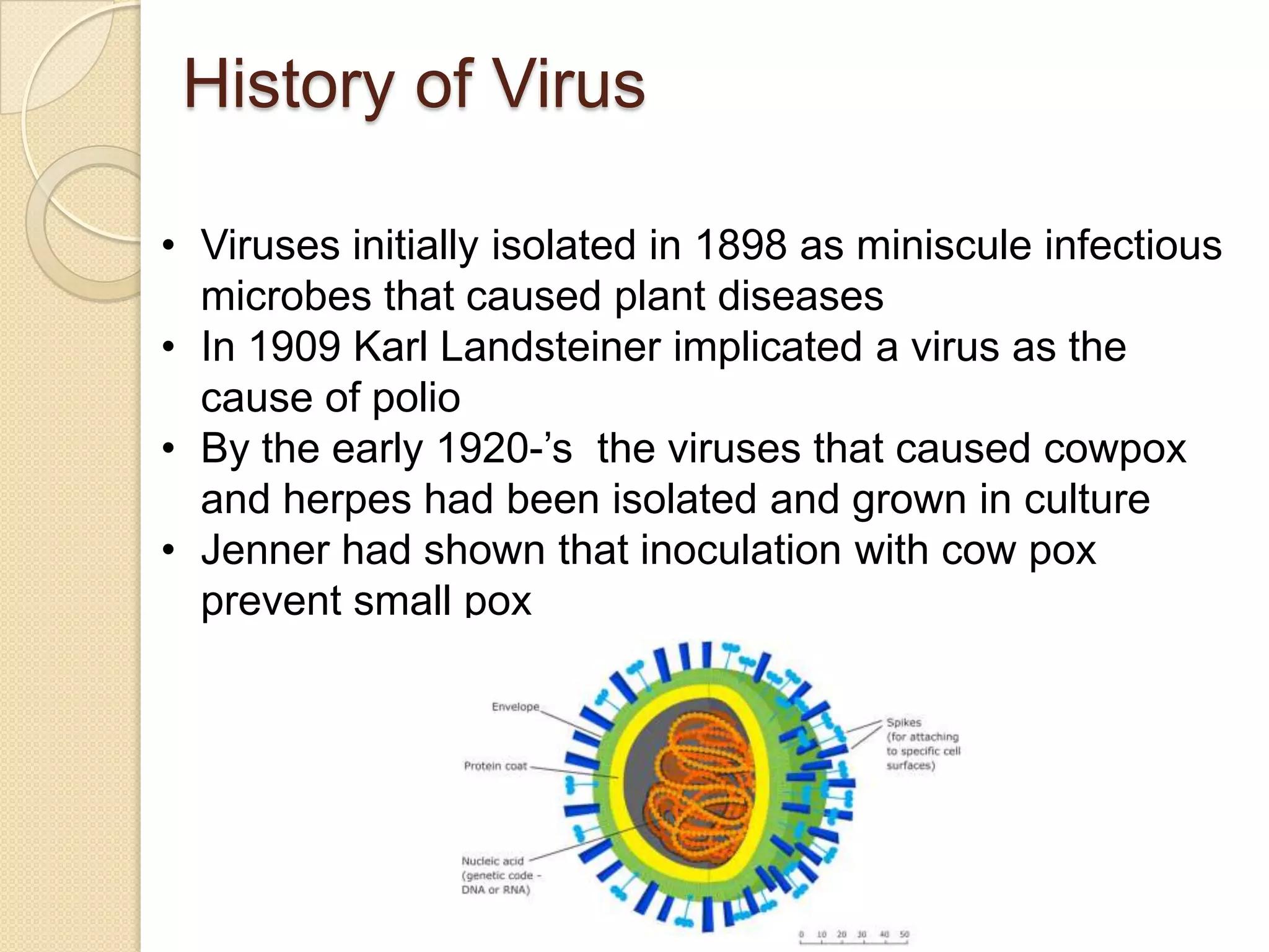 Viruses and cancer | PPTX