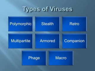 Viruses and internet security | PPTX
