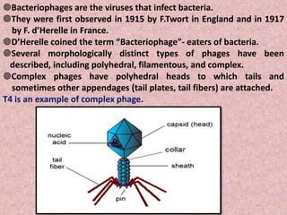 Viruses and their genetic system | PPTX