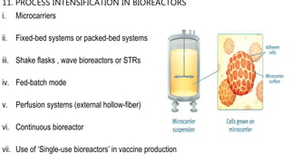 Viruses and vaccine production | PPTX