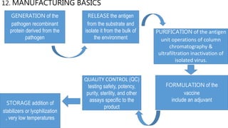 Viruses and vaccine production | PPTX
