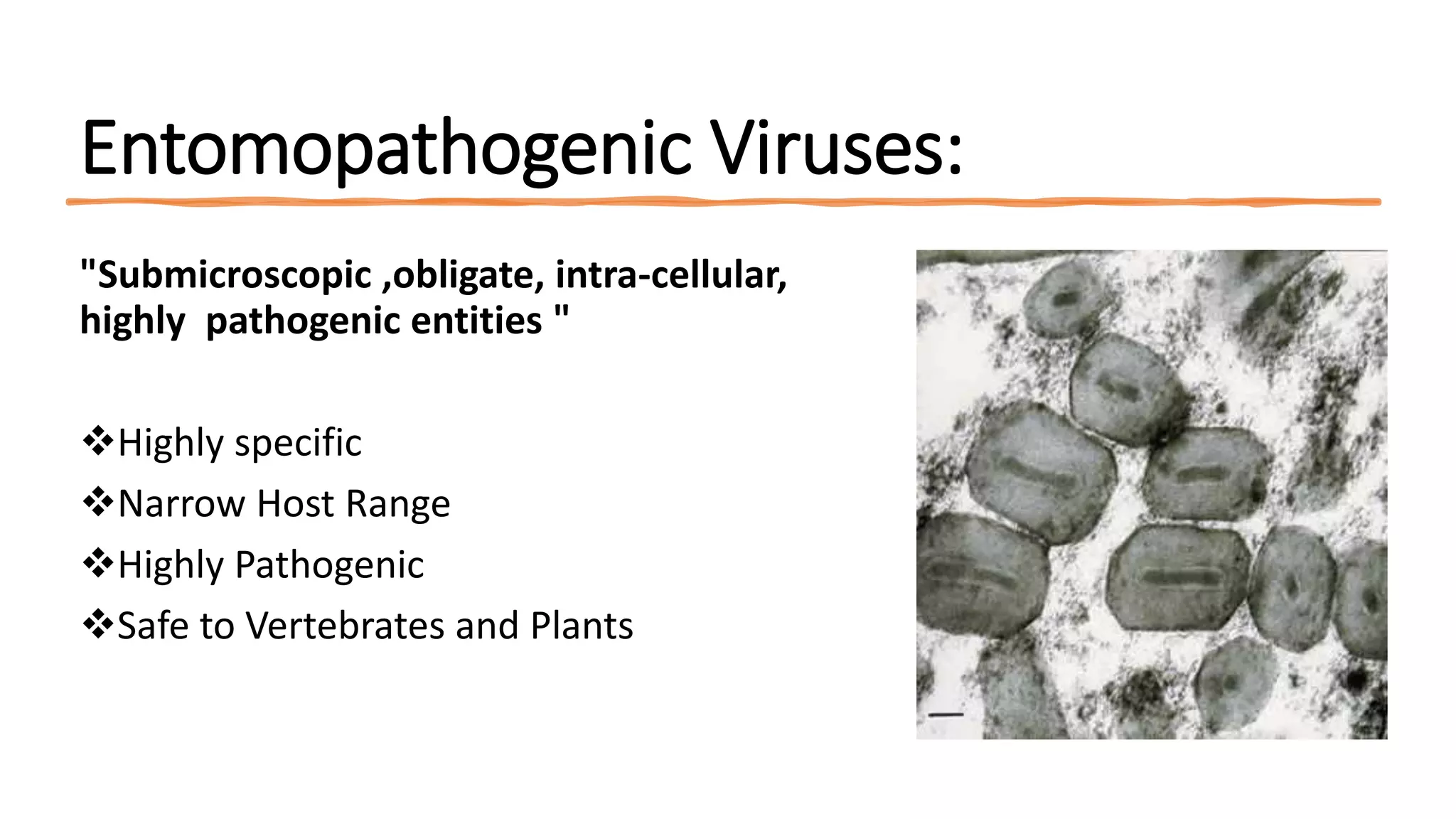 Viruses as biocontrol agents (1) | PPTX