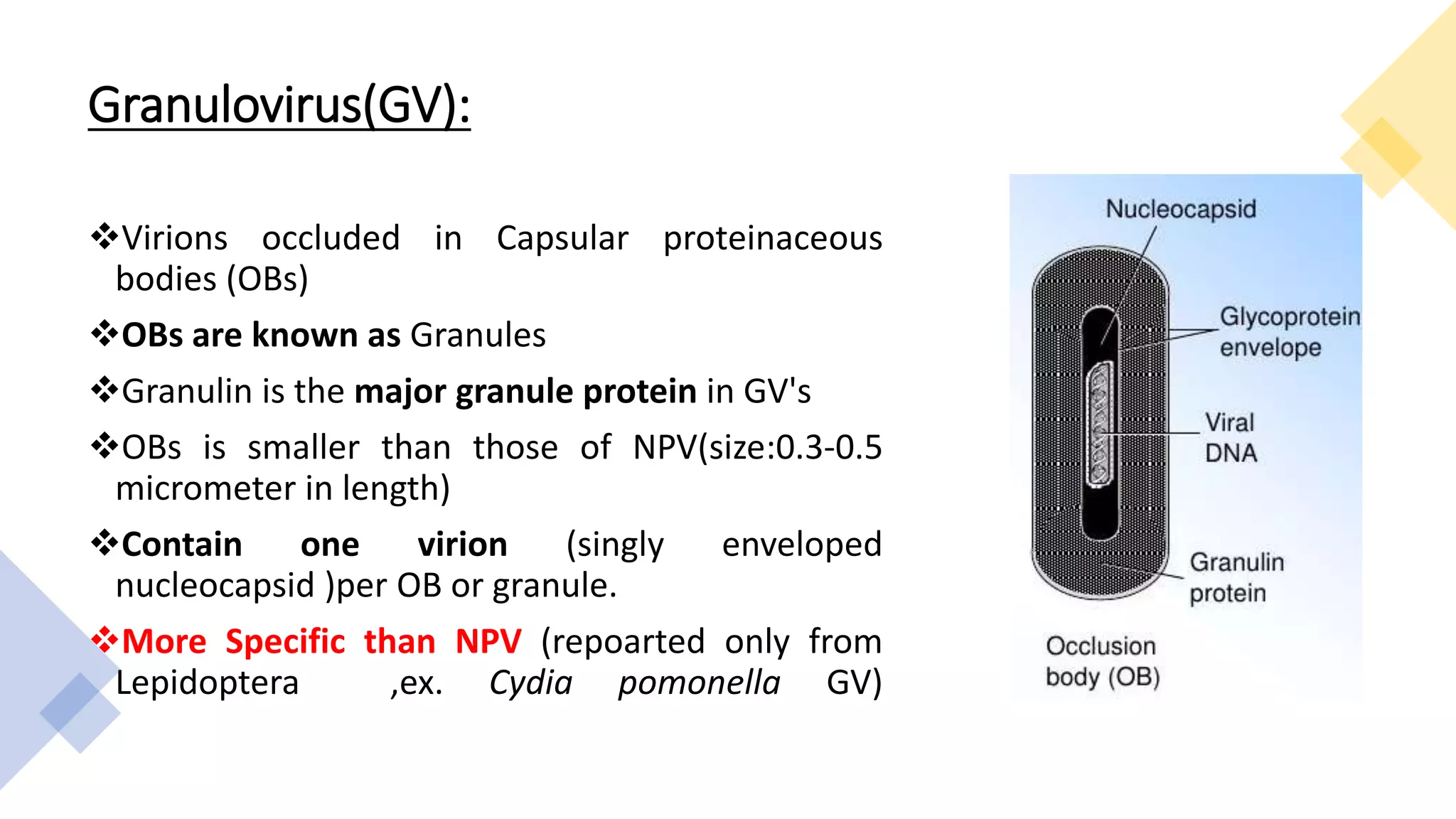 Viruses as biocontrol agents (1) | PPTX
