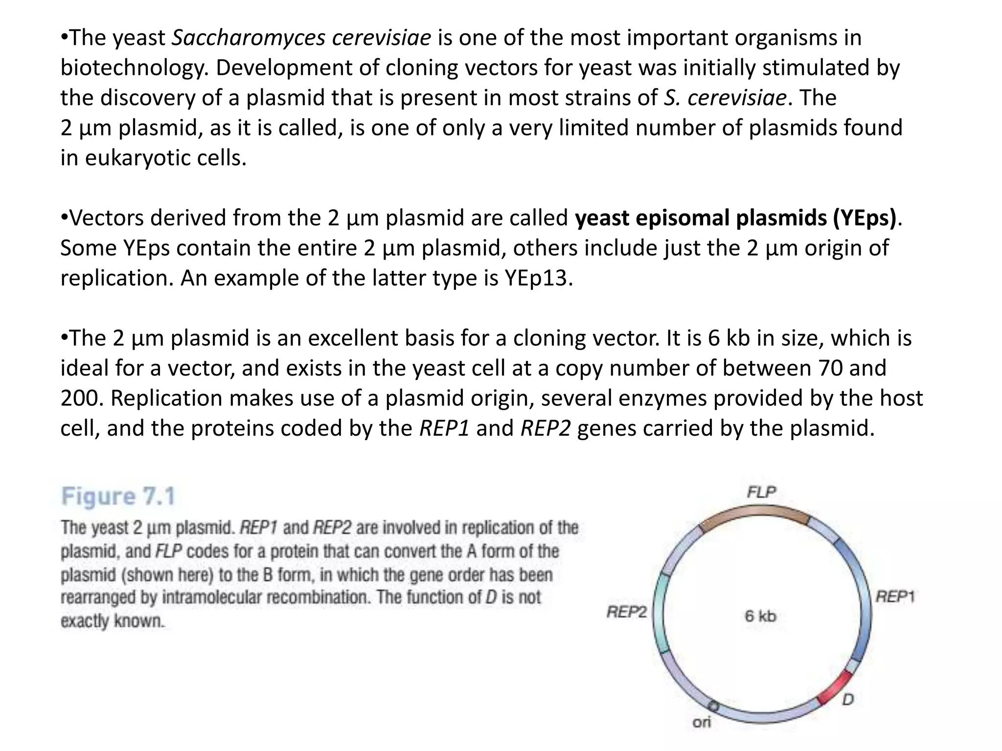 Viruses as vector, binary, shuttle vector | PPTX