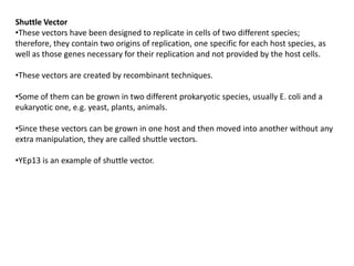 Viruses as vector, binary, shuttle vector | PPTX