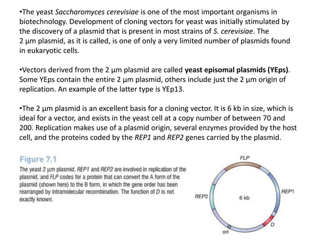 Viruses as vector, binary, shuttle vector | PPTX