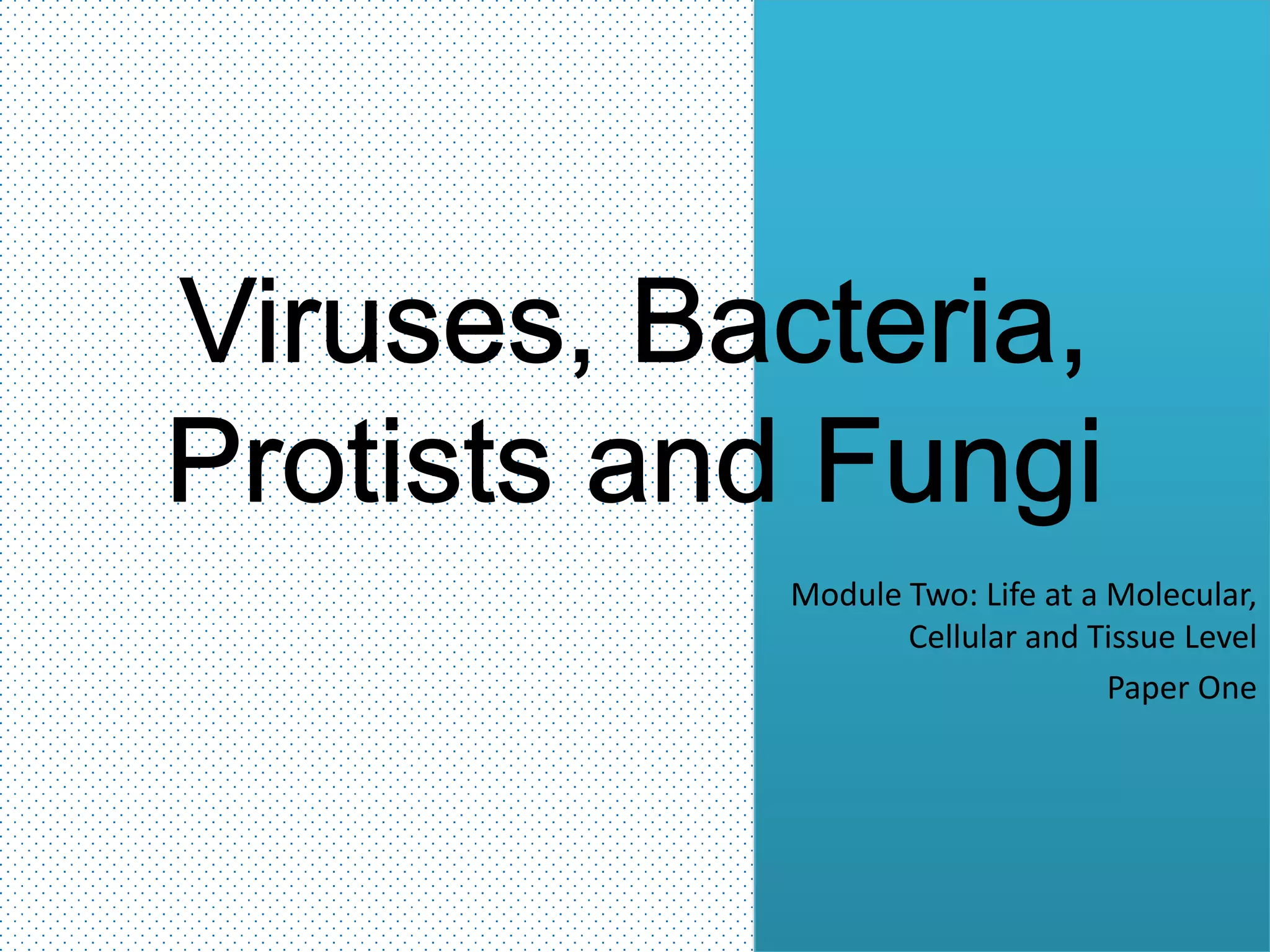 Viruses, bacteria, protists and fungi | PPT