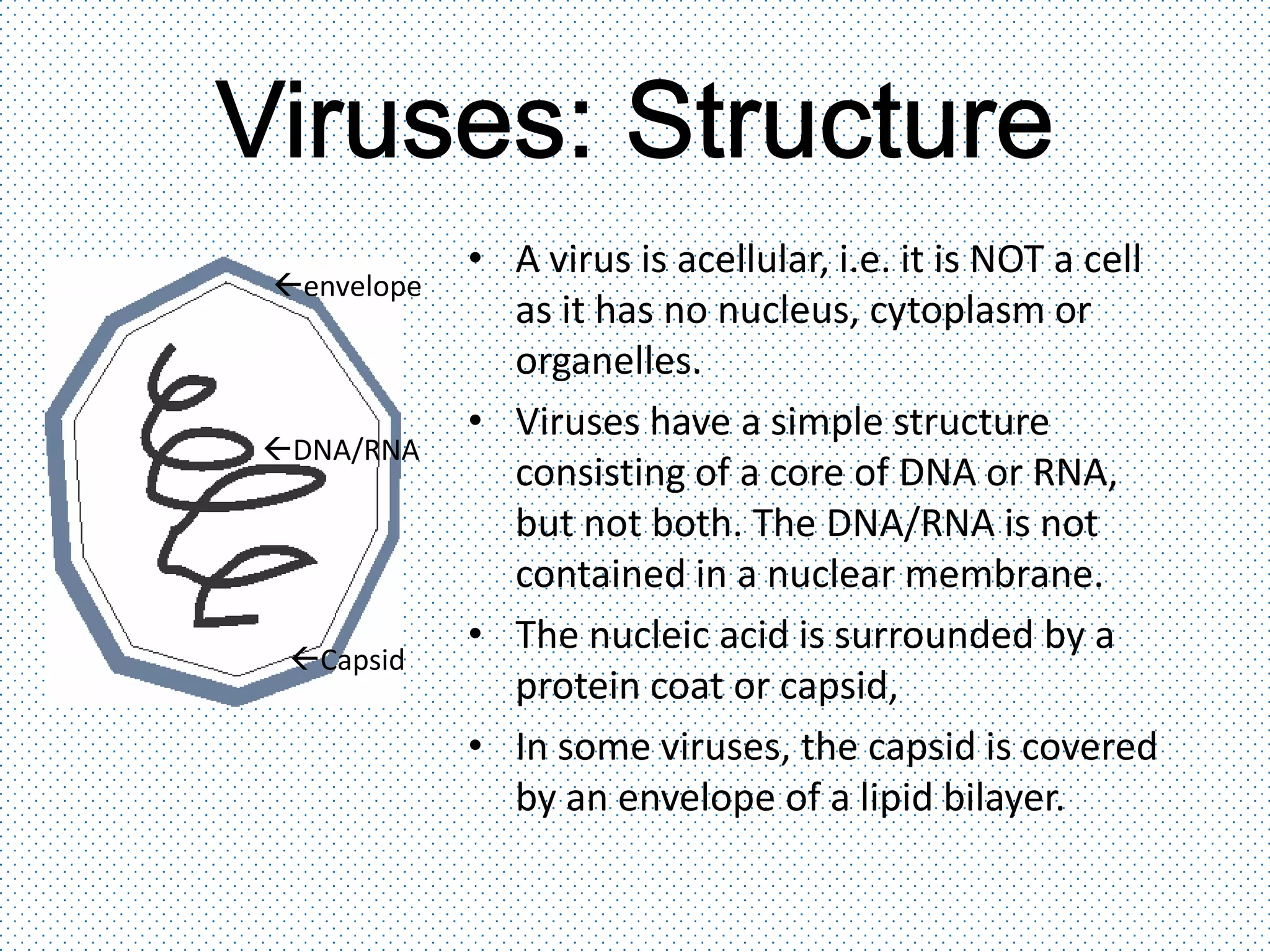 Viruses, bacteria, protists and fungi | PPTX