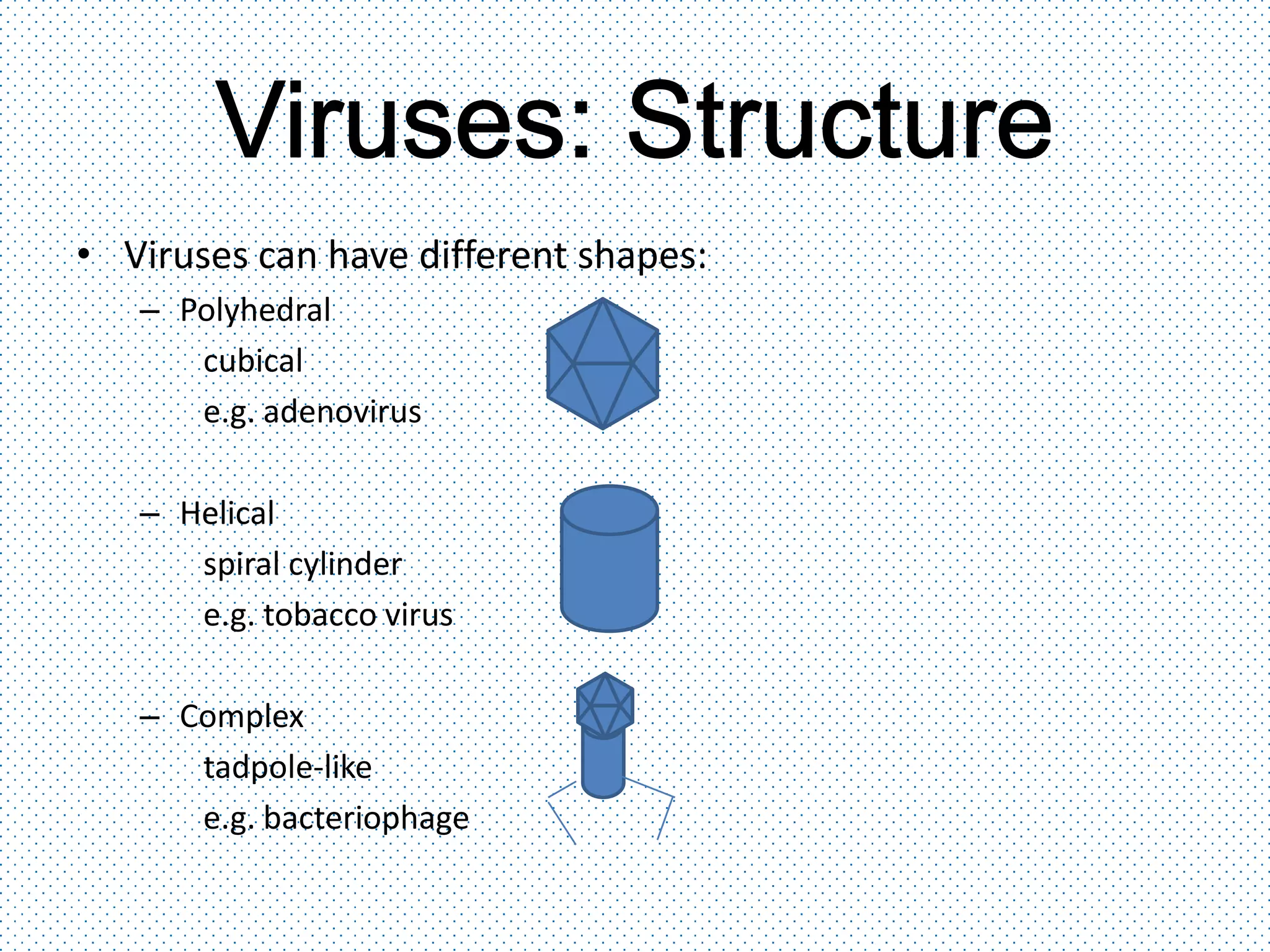 Viruses, bacteria, protists and fungi | PPTX | Infectious Diseases ...