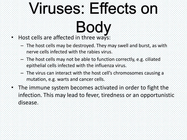 Viruses, bacteria, protists and fungi | PPTX | Infectious Diseases ...