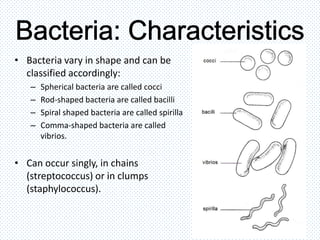 Viruses, bacteria, protists and fungi | PPTX