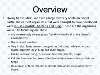 Viruses, bacteria, protists and fungi | PPTX