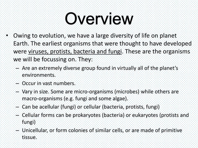 Viruses, bacteria, protists and fungi | PPTX | Infectious Diseases ...