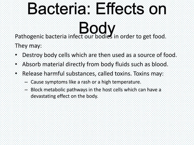 Viruses, bacteria, protists and fungi | PPTX | Infectious Diseases ...