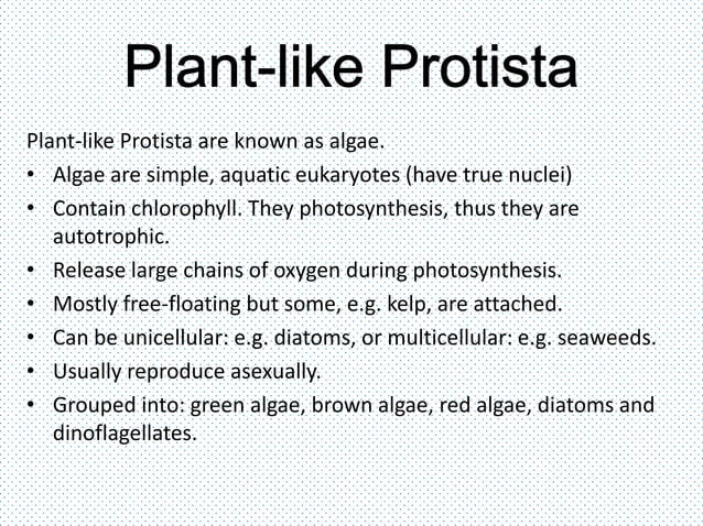 Viruses, bacteria, protists and fungi | PPTX | Infectious Diseases ...