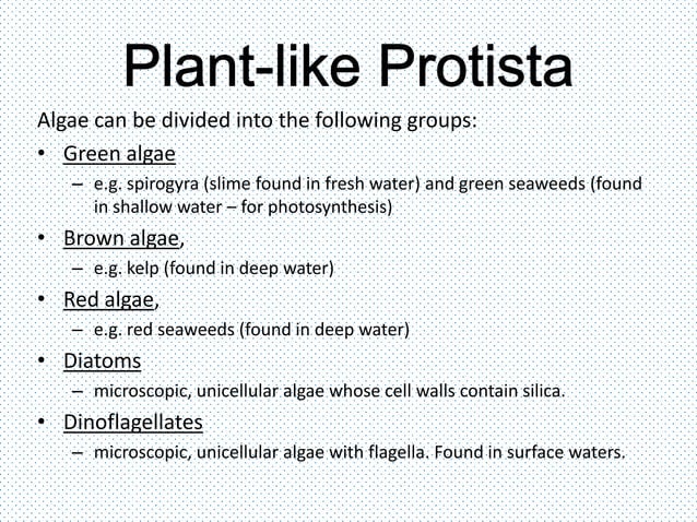 Viruses, bacteria, protists and fungi | PPTX | Infectious Diseases ...