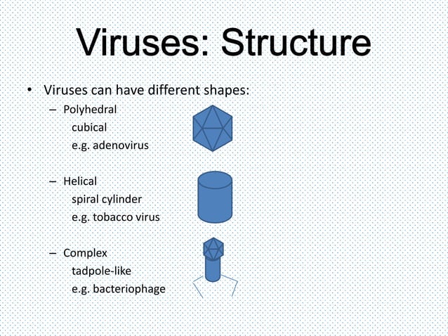 Viruses, bacteria, protists and fungi | PPTX | Infectious Diseases ...