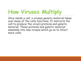 Viruses bacteria protists_and_fungi | PPTX
