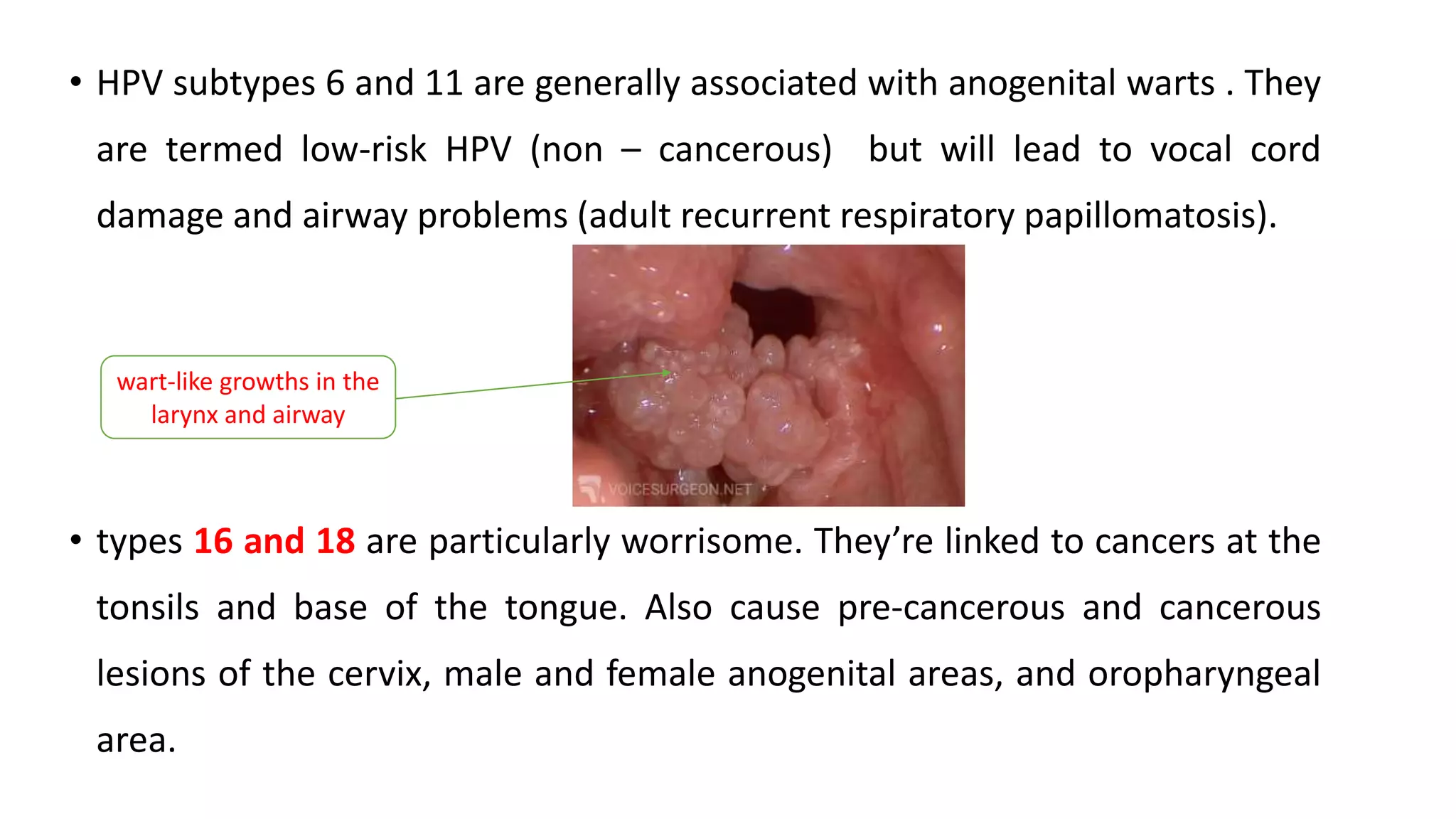 Viruses Causing Cancer.pptx
