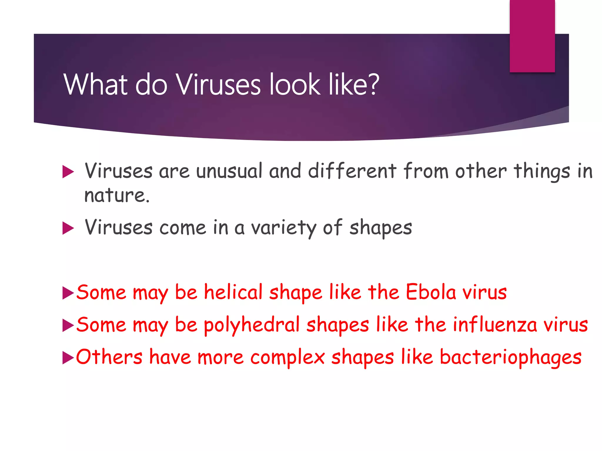 Viruses | PPT