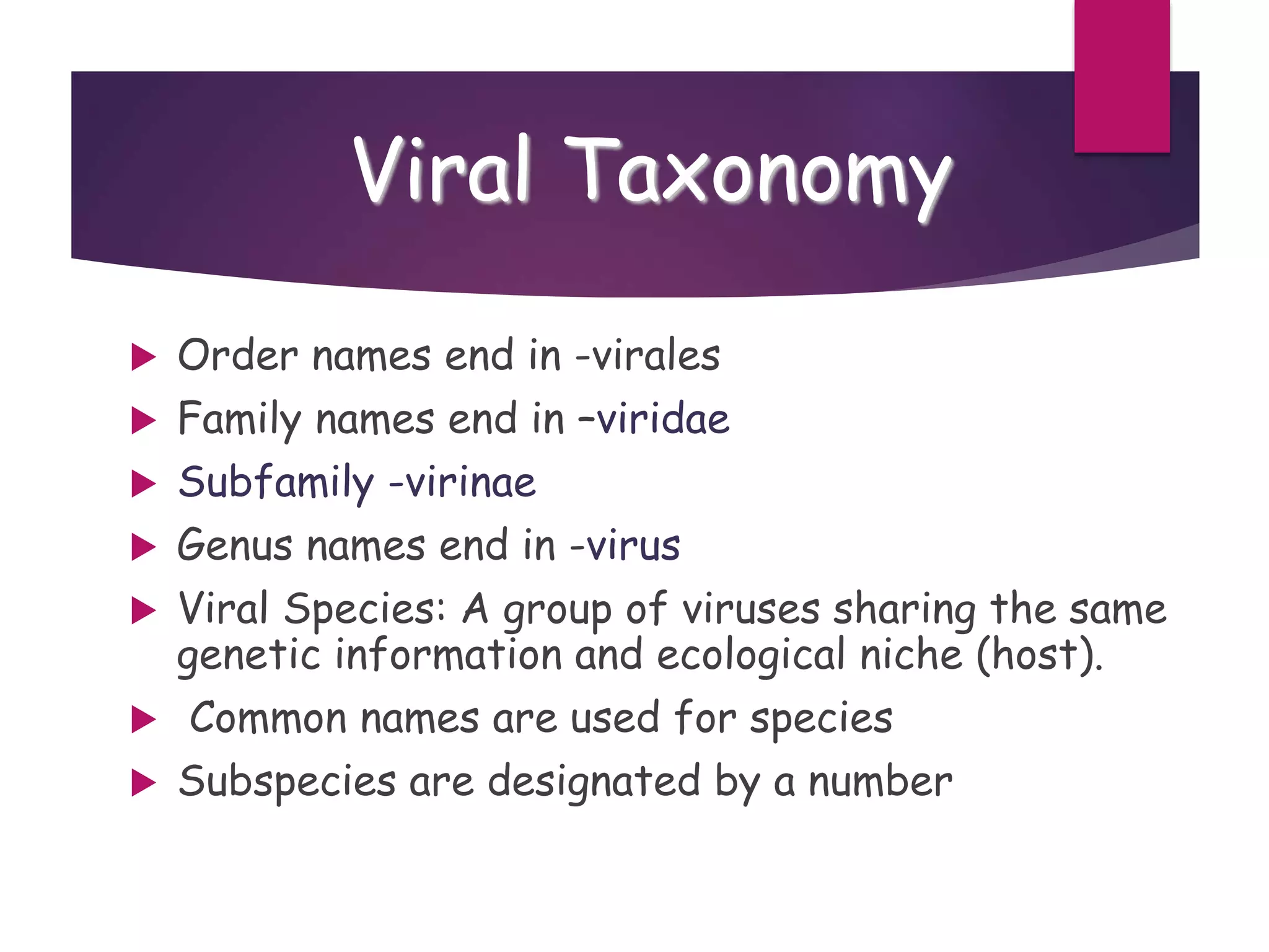 Viruses | PPTX