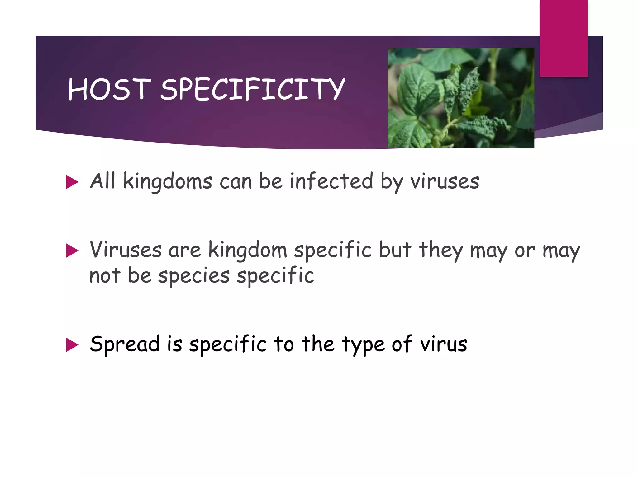 Viruses | PPTX