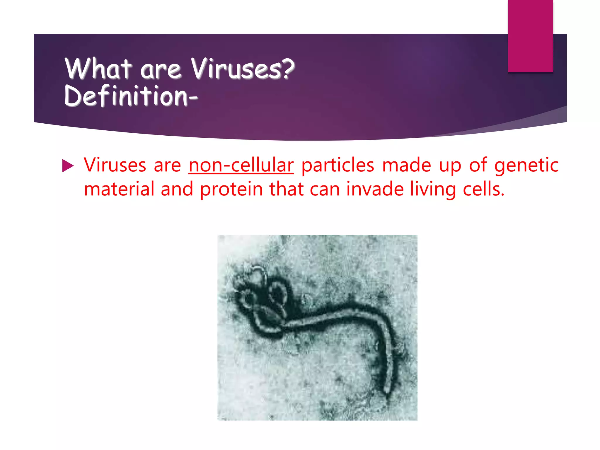 Viruses | PPTX
