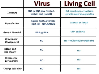 Viruses | PPTX