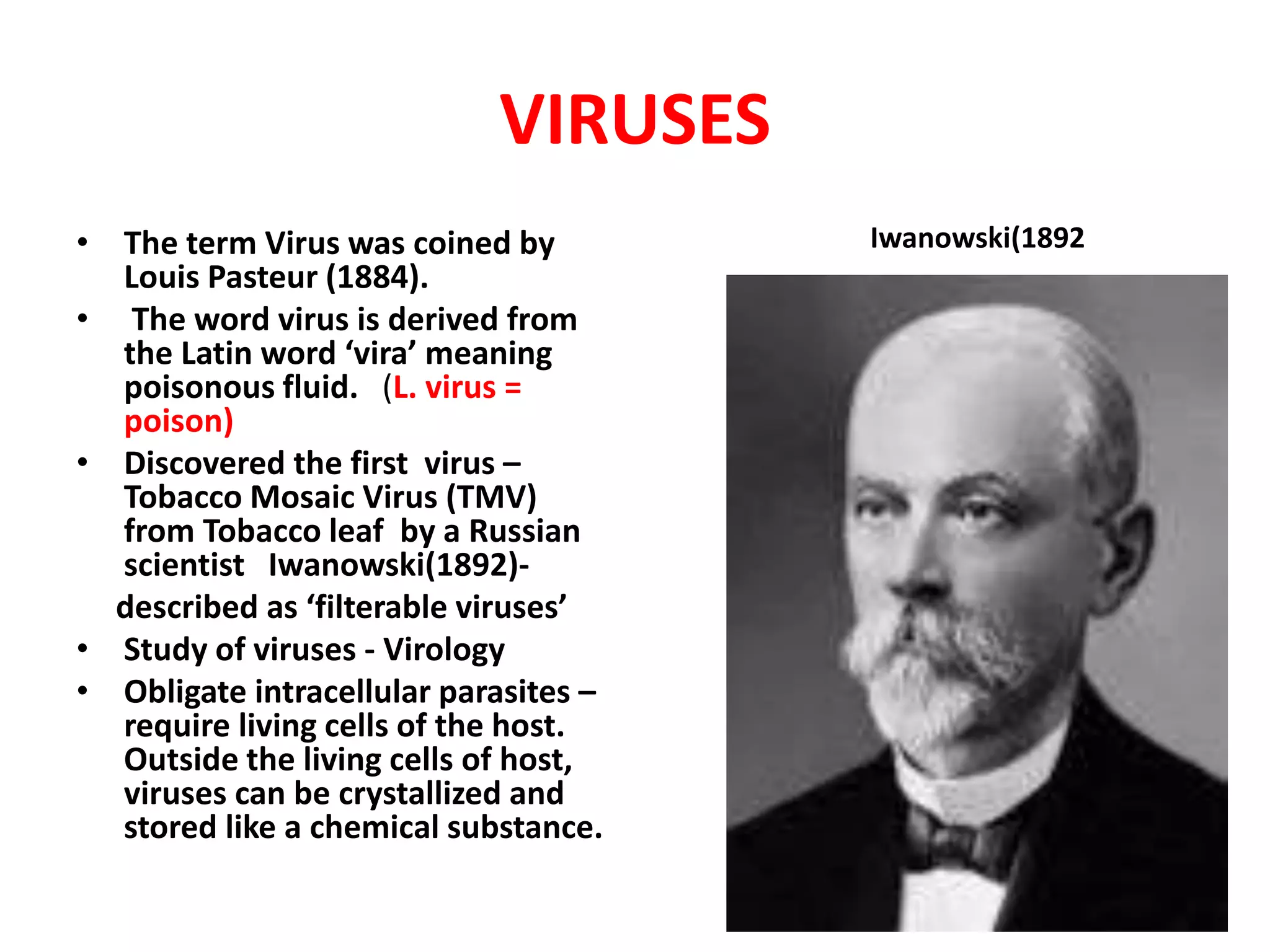 Viruses SMG | PPTX | Biological Sciences | Science
