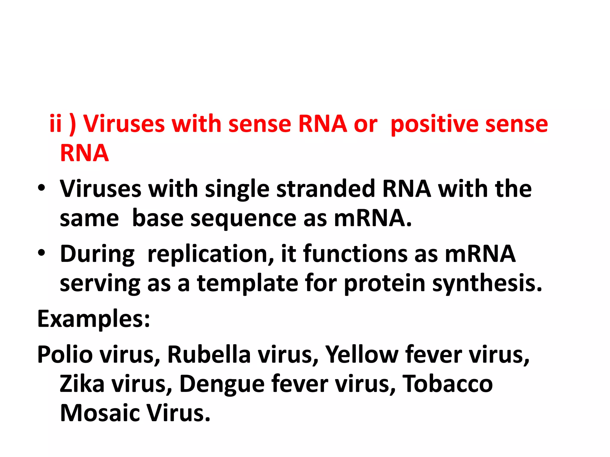 Viruses SMG | PPT