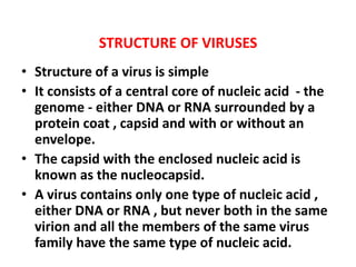 Viruses SMG | PPTX