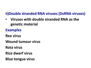 Viruses SMG | PPTX