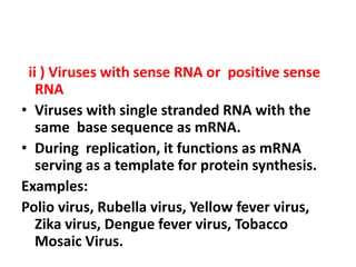 Viruses SMG | PPTX