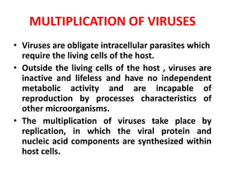 Viruses SMG | PPTX