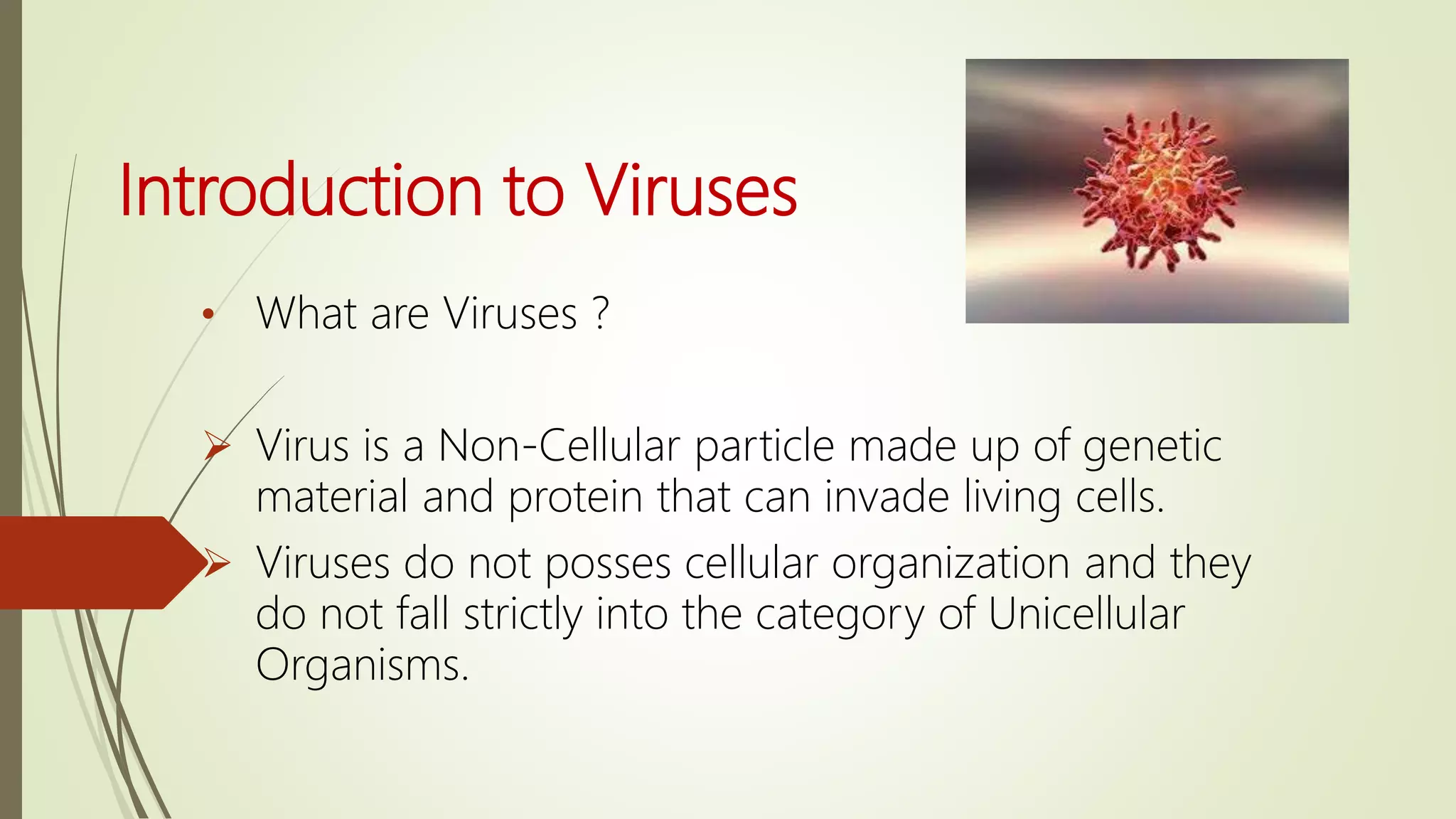 Viruses – Morphology & Classification.pptx