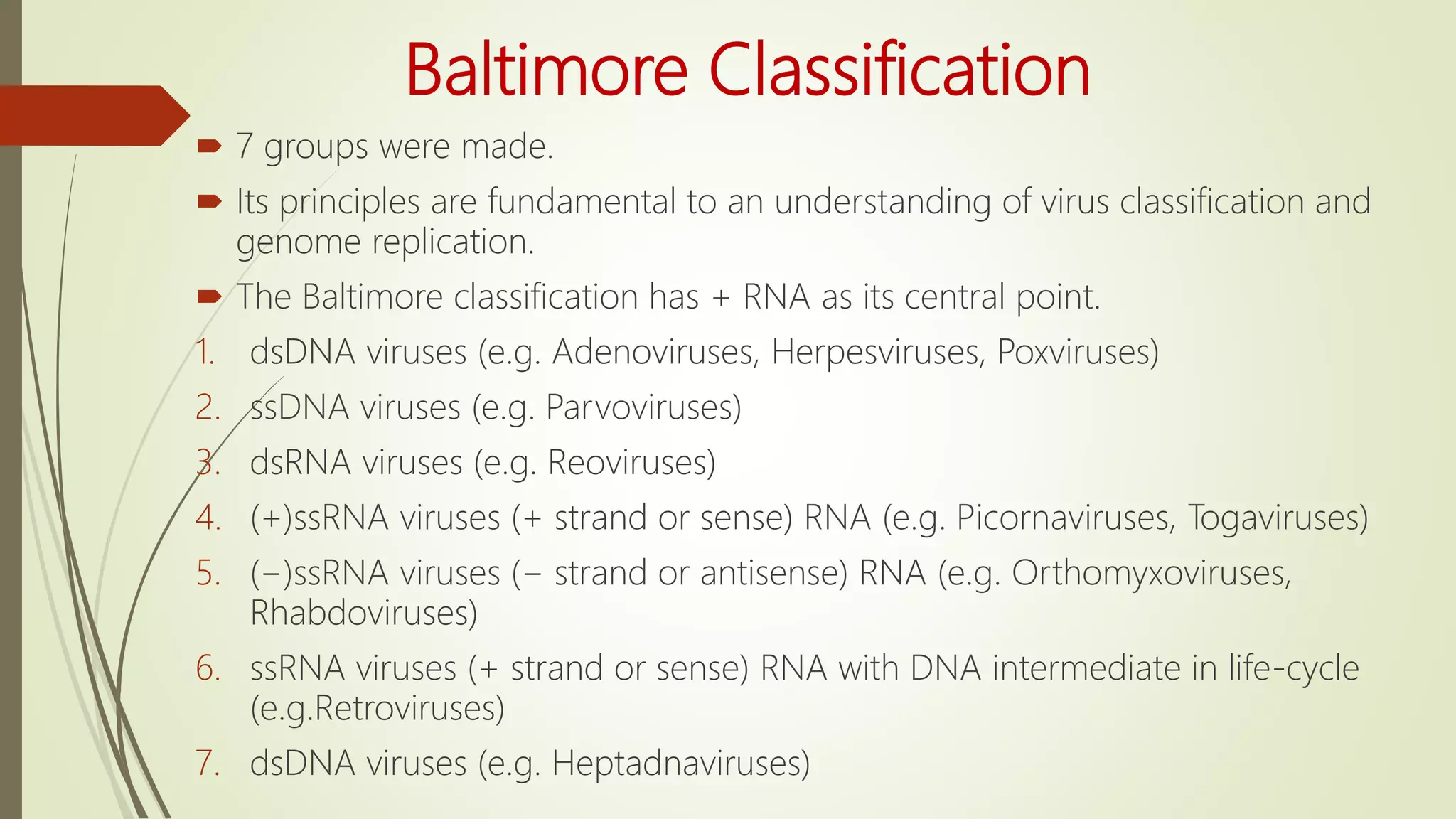 Viruses – Morphology & Classification.pptx