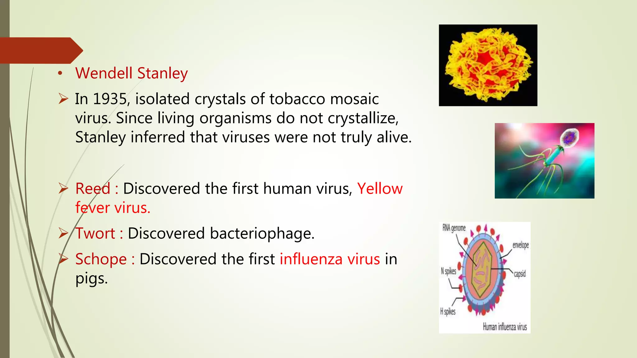 Viruses – Morphology & Classification.pptx