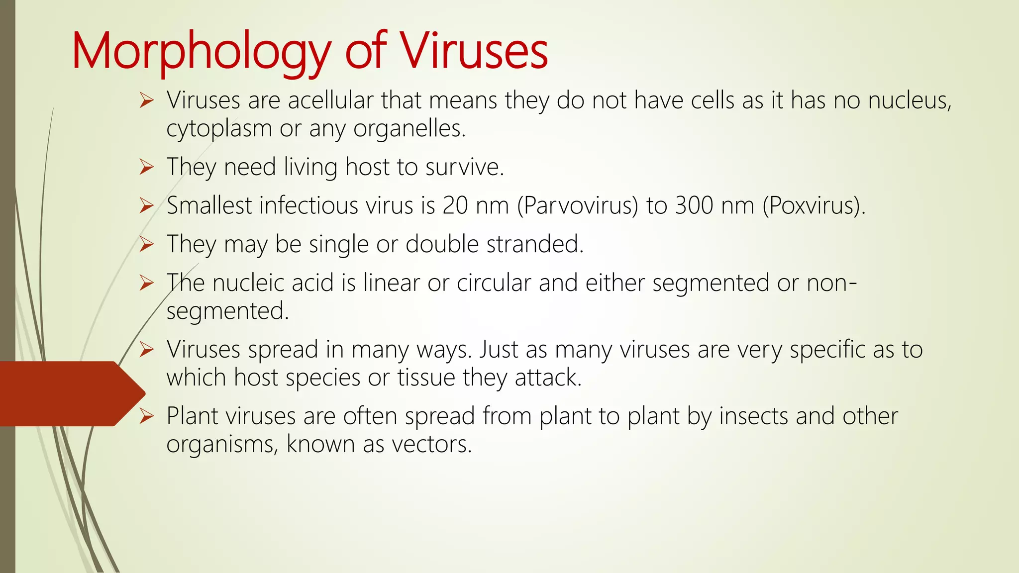 Viruses – Morphology & Classification.pptx