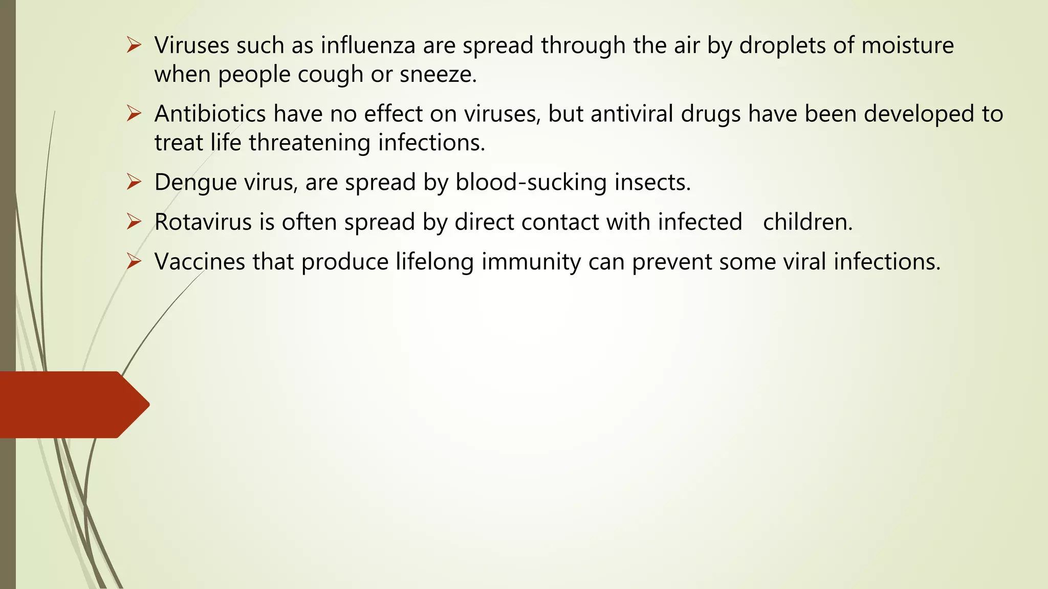 Viruses – Morphology & Classification.pptx