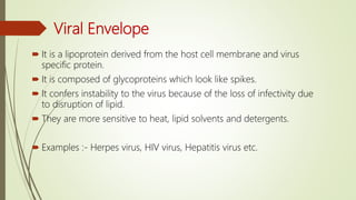 Viruses – Morphology & Classification.pptx