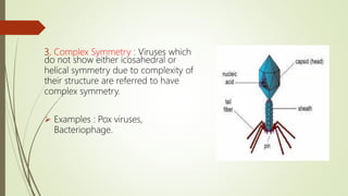Viruses – Morphology & Classification.pptx