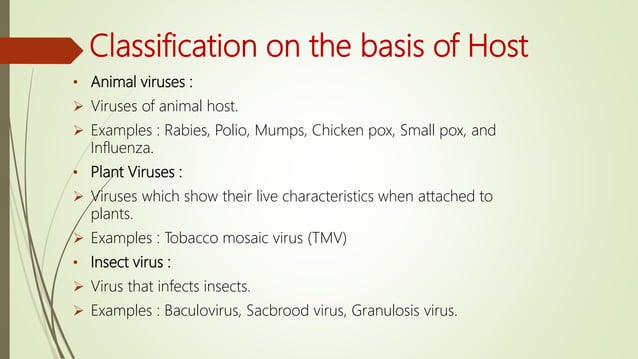 Viruses – Morphology & Classification.pptx | Genetics | Science
