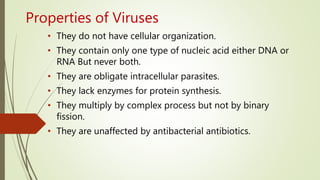 Viruses – Morphology & Classification.pptx